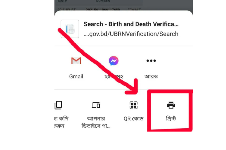 Jonmo Nibondhon Check/Jachai Online | জন্ম নিবন্ধন যাচাই
